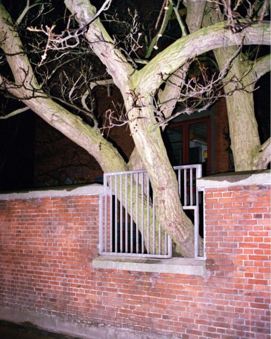 Albert Elm Captures the Vibrant World Around Him