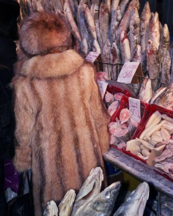 Albert Elm Captures the Vibrant World Around Him