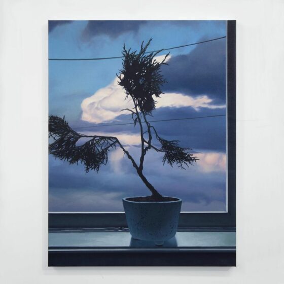 A Silent Conversation With Paul Rouphail’s Still Life Paintings » Dirtybarn